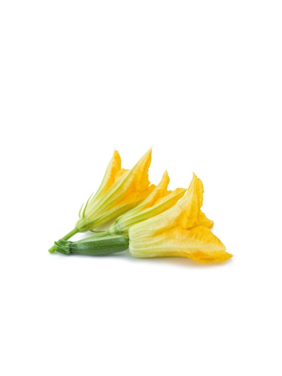 FFF ZUCCHINI FLOWER 15PCS – B.I.G. - Publika Shopping Gallery
