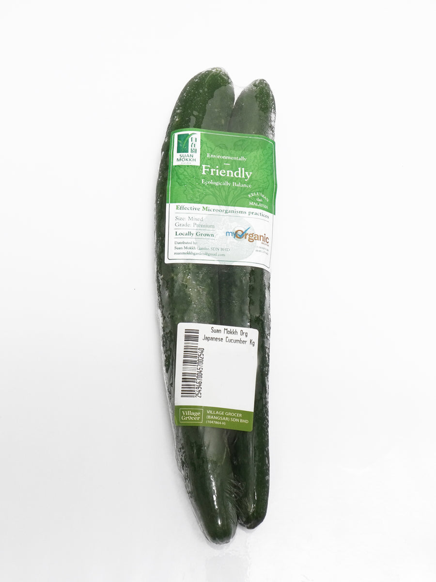 SUAN MOKKH ORG JAPANESE CUCUMBER +/-500G – B.I.G. - Publika Shopping ...