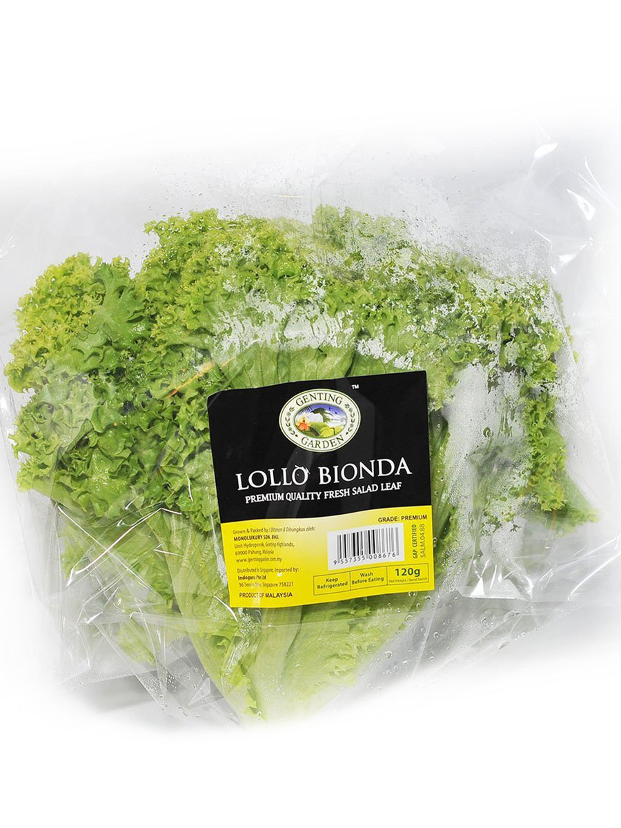 GG LOLLO BIONDA LETTUCE PKT – B.I.G. - Publika Shopping Gallery