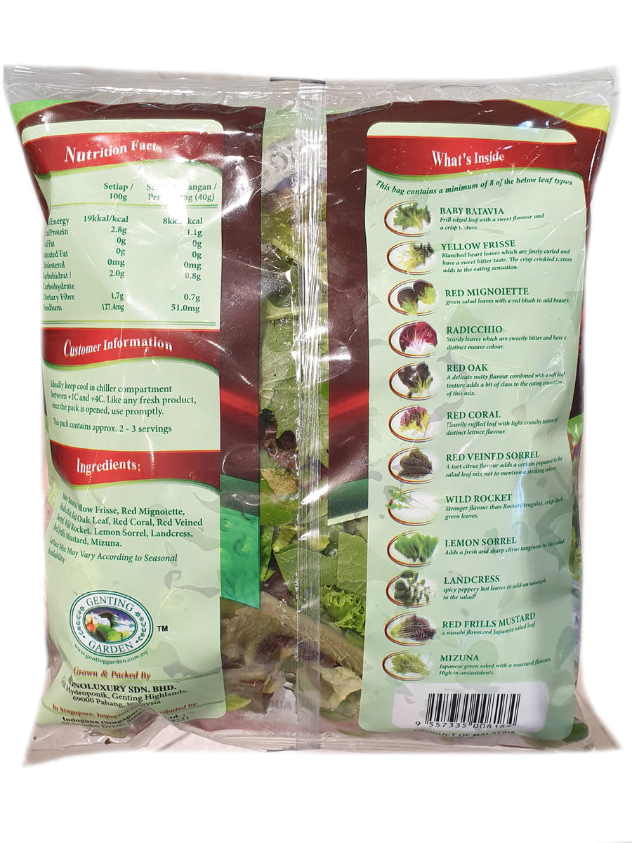 GG RTE FOUR SEASONS MIX SALAD 125G – B.I.G. - Publika Shopping Gallery